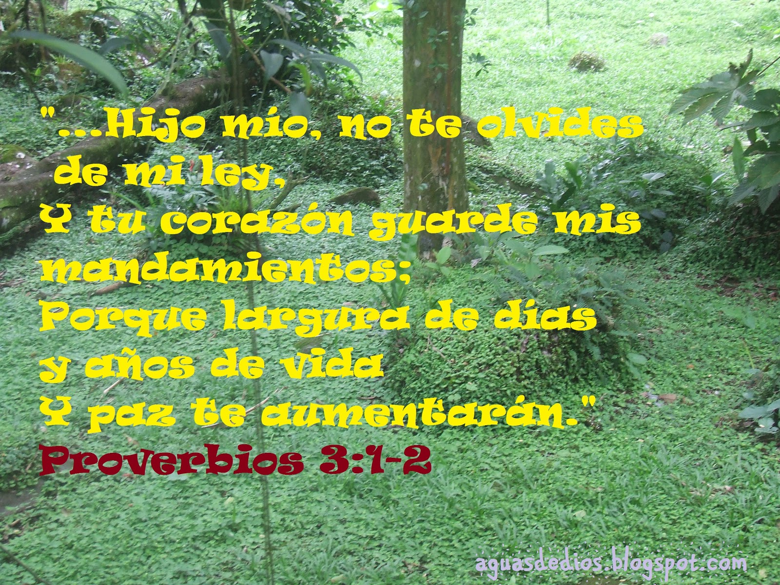 Compartamos la Palabra de Elohim: Y tu corazón guarde mis mandamientos ...