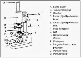 Gambar, Bagian, dan Fungsi Mikroskop Monokuler | SEO PENDIDIKAN