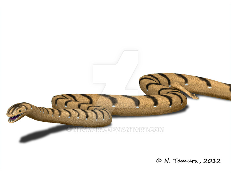 Variety of Life: Anguimorpha