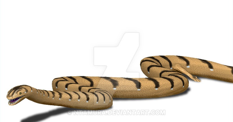 Variety of Life: Anguimorpha