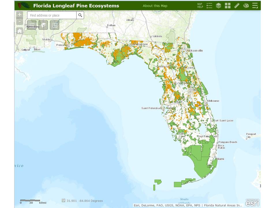 FNAI News & Notes: Map of the Month: Longleaf Pine Ecosystems