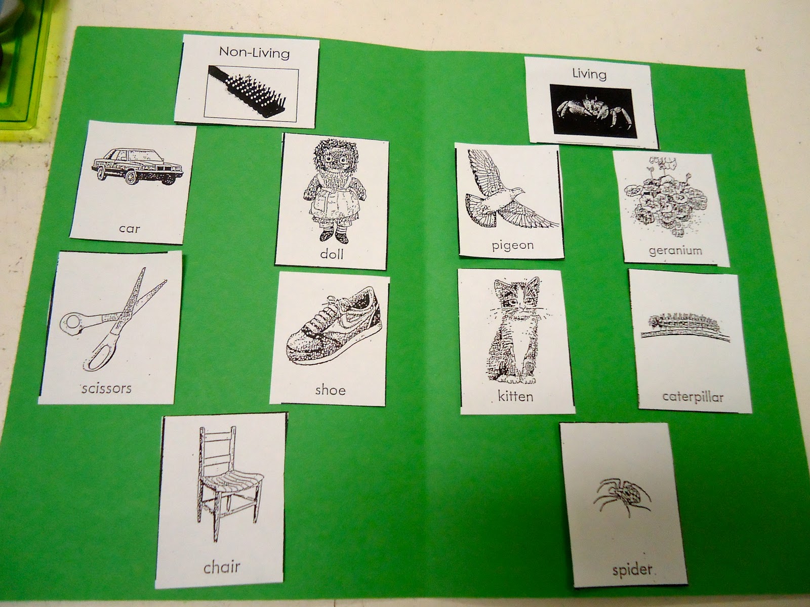 To the Lesson!: Living/Non-Living