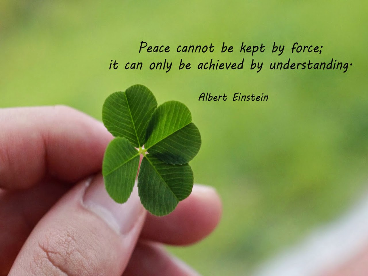 Peace Quotes And Sayings With Images For FB Sharing - Poetry Likers