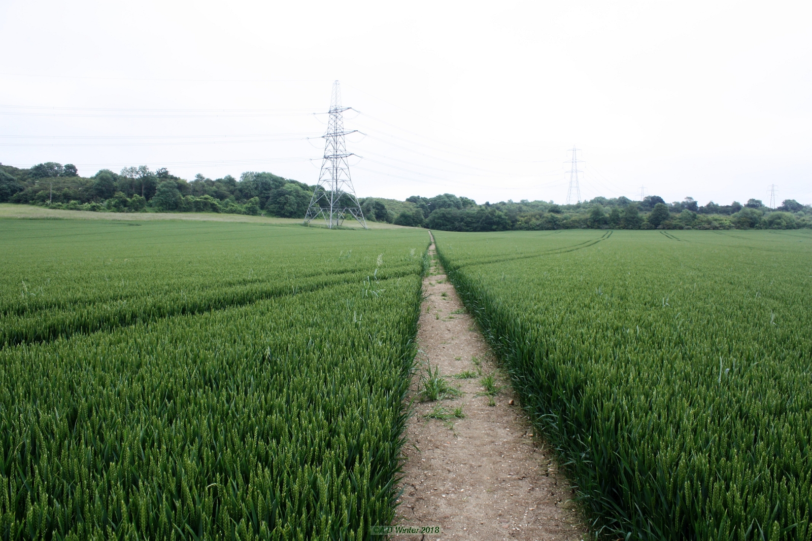 A Walk from Chalton to Upper Sundon And Back in 2018