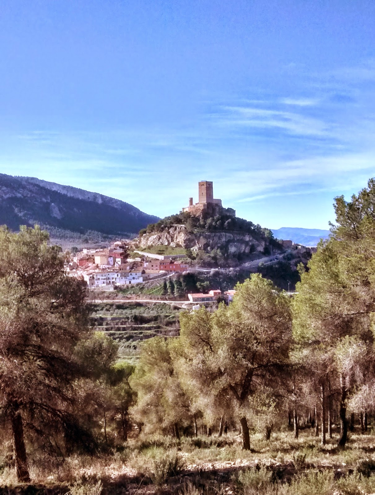 APIARIUM: *Vistas de Biar (desde el noreste).