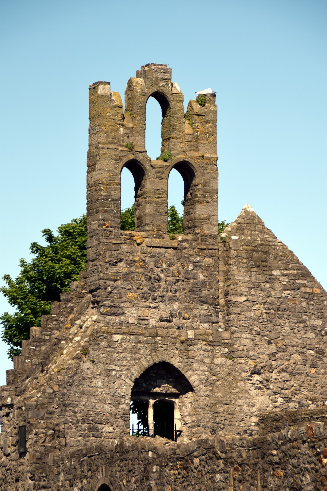 Enjoy your time with beautiful places: St. Mary’s Abbey in Howth Ireland