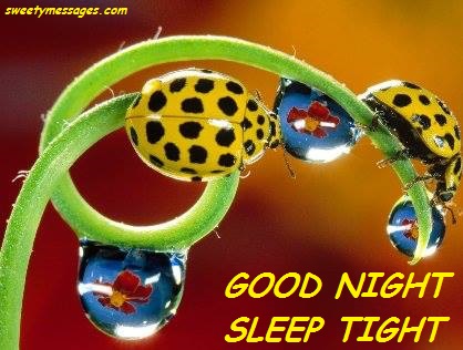GOOD NIGHT SLEEP TIGHT IMAGES | Beautiful Messages
