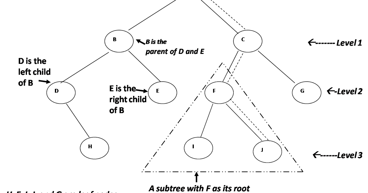 Dept. of Computer Science, St.PiousX College: Trees Terminology,binary ...