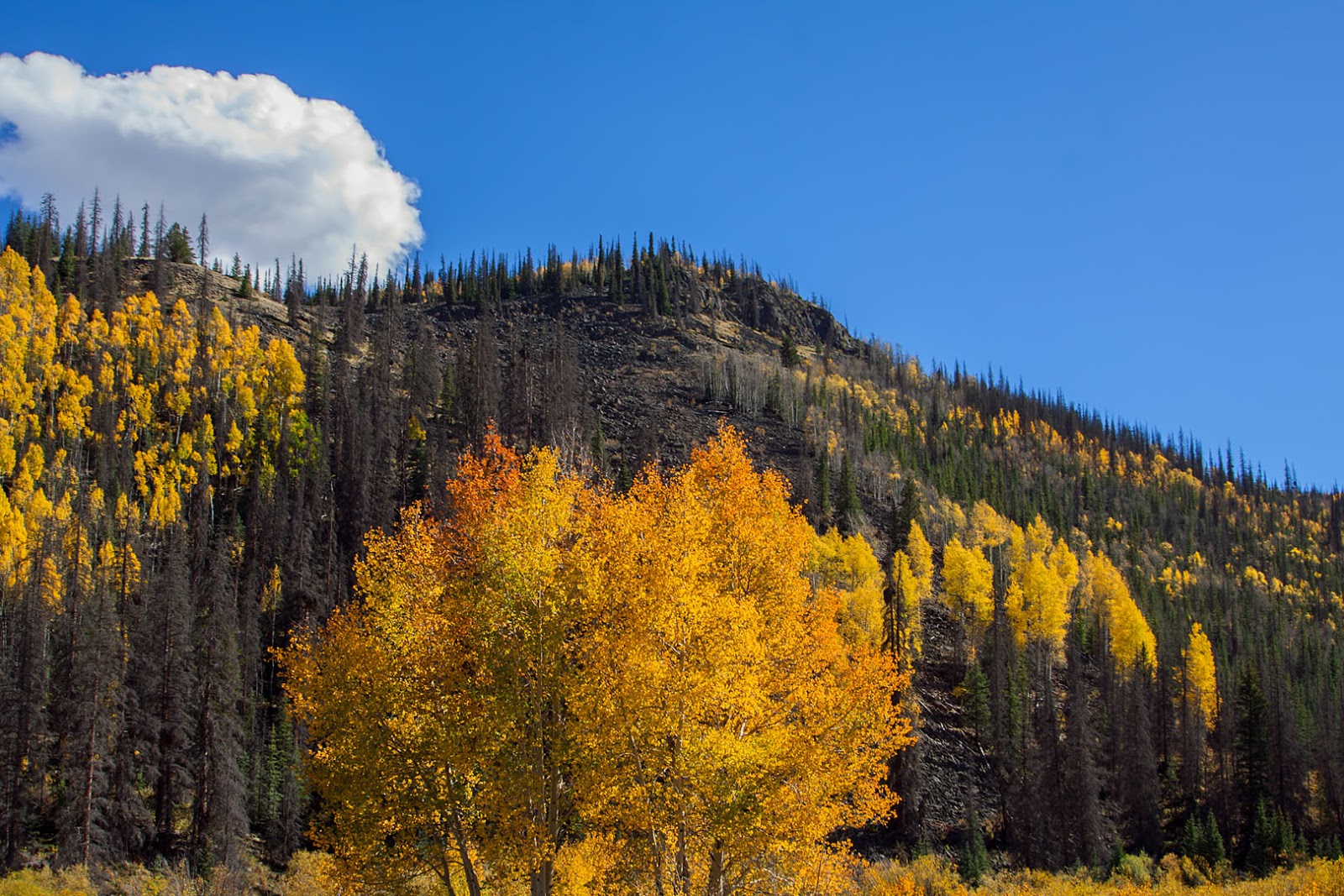 Stan's Travels: Slumgullion Pass & Powderhorn Wilderness, CO (9/25/2018)