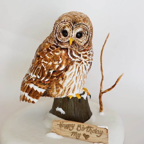 My Owl Barn: Top 10 Stunning Owl Cakes
