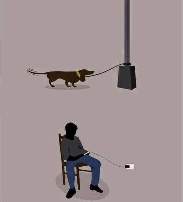 Memes de Internet: perro atado, humano atado