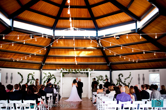 OLD BLOG, NEW BLOG HERE: http://www.sharonarnoldi.com/blog : Spring ...