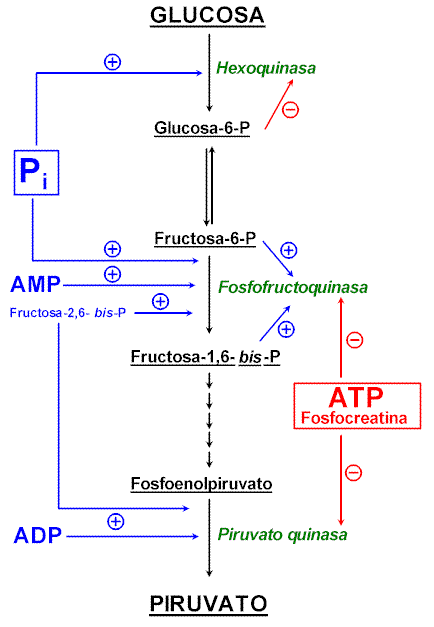 Biología