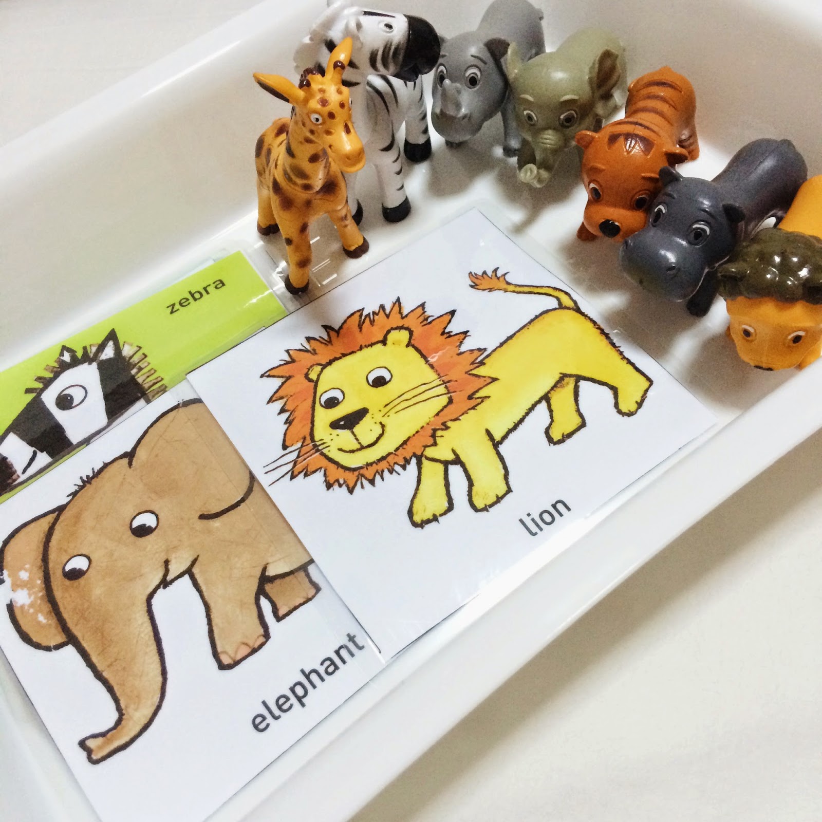 MAKE a good day : Animals sorting activity