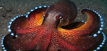 The Multiverses of Liza O'Connor: Facts about Titan that helped create ...