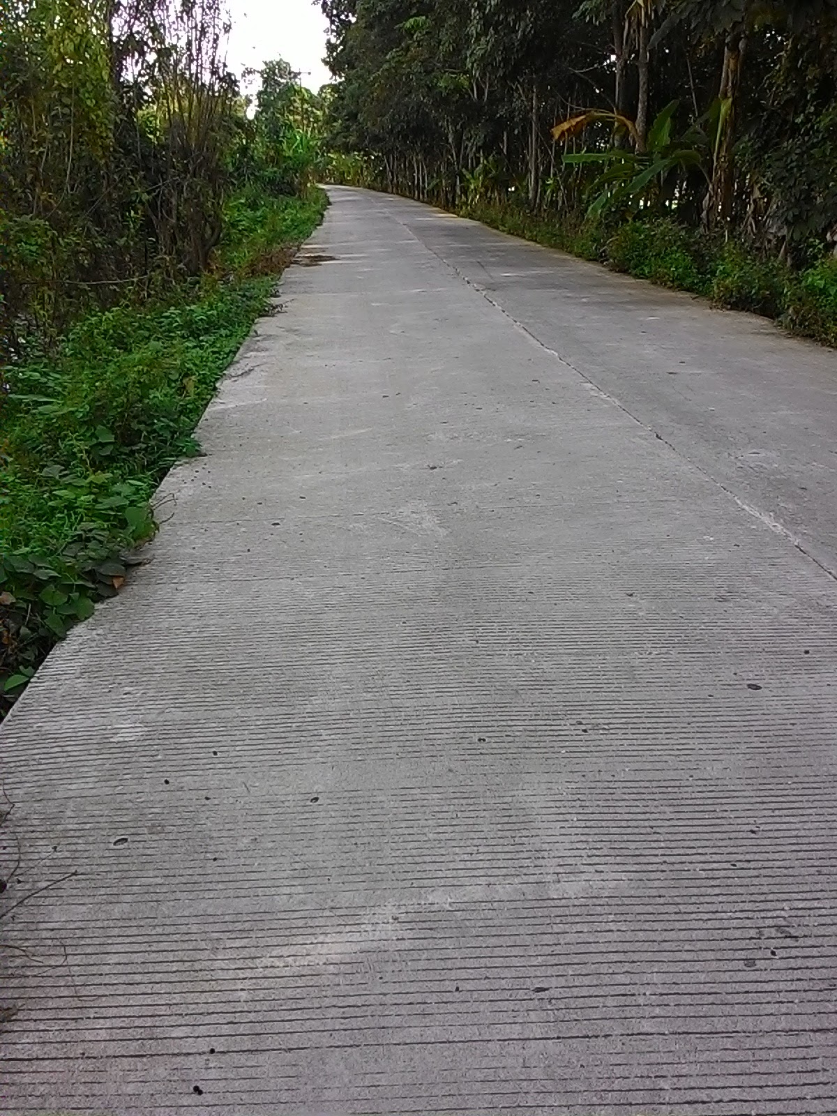 Metode Pengecoran Jalan Beton. - Bereyau