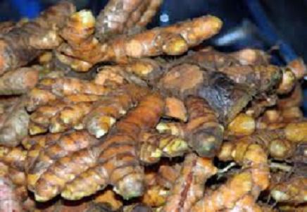 Manfaat Kencur ( Sunda: Cikur) ~ Bakul Bumbu