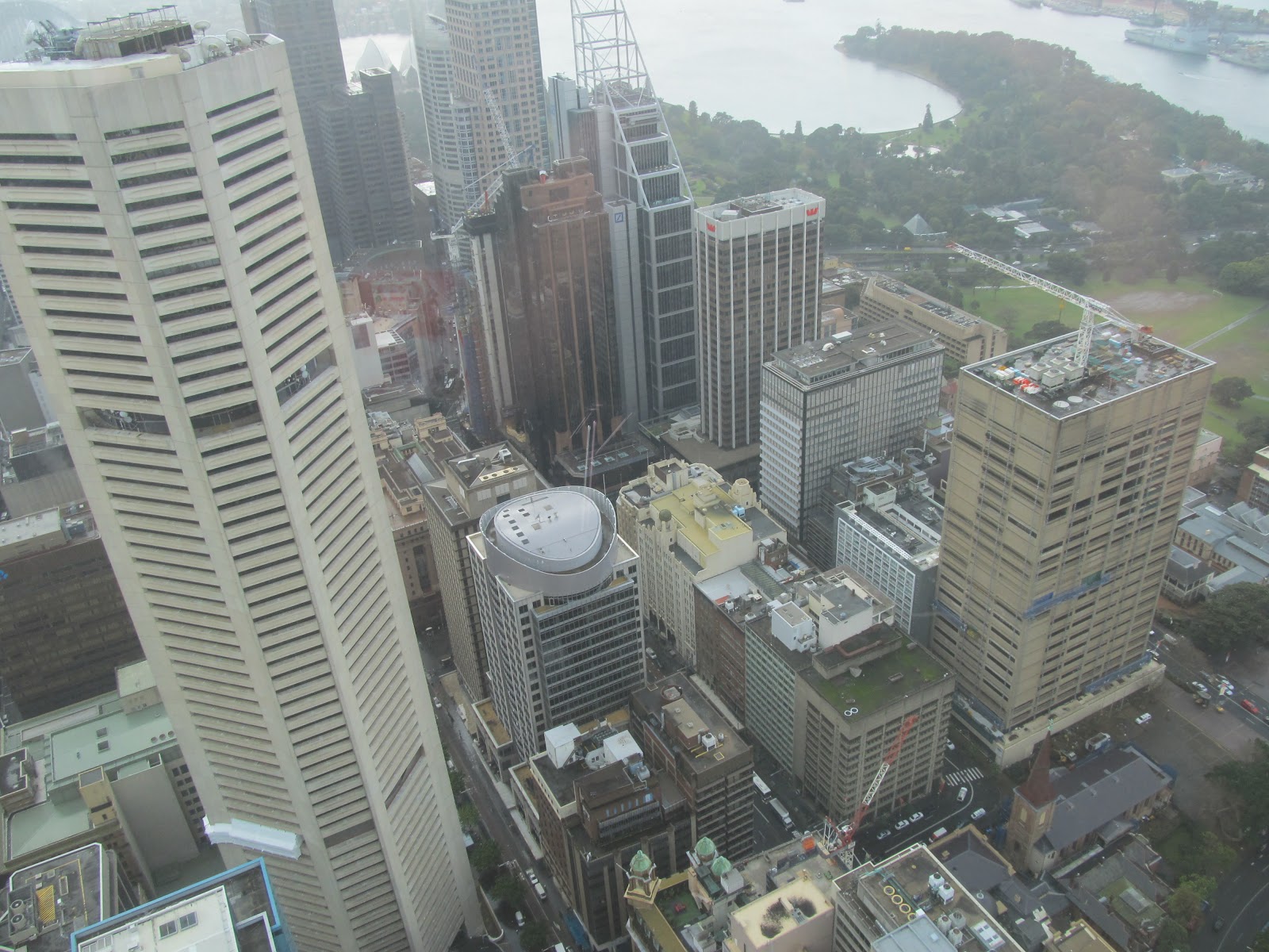 SCCVC Hosts Luurnpa Young People for Sydney Visit: SCCVC HOSTS YOUNG ...