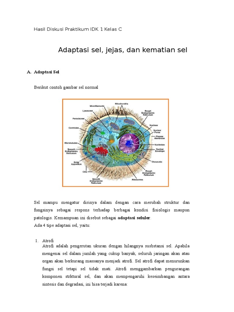 atrofi adalah - wood scribd indo