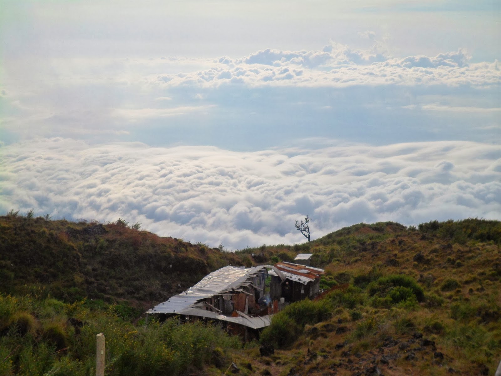 Caminos y miradas: Ascenso al Monte Camerún... y descenso