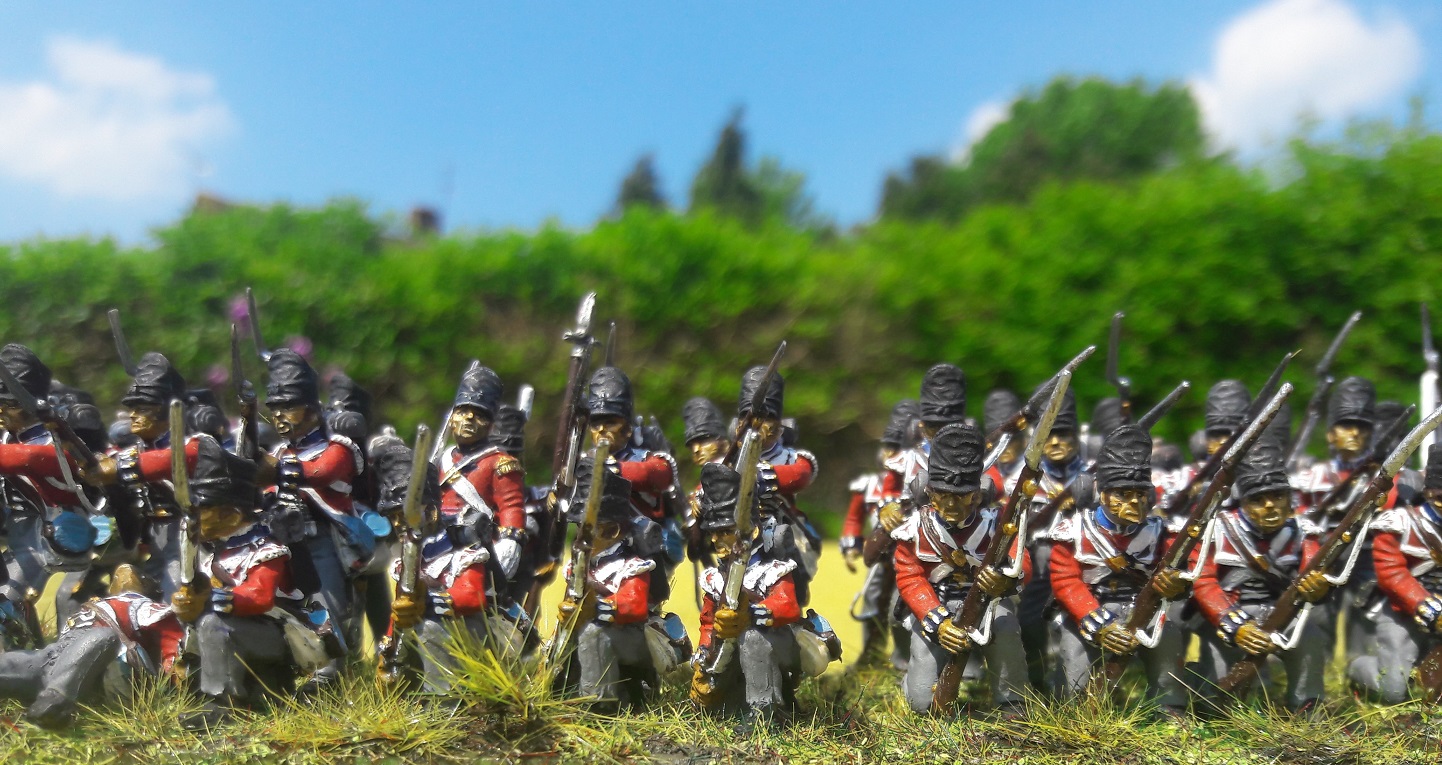 The British Army At Waterloo: 23rd Foot (Royal Welch Fusiliers)