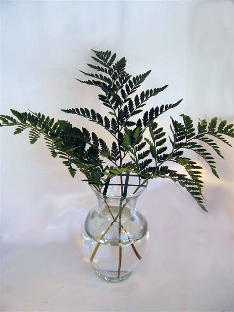 Always Wear Your Invisible Crown: How To Arrange Flowers In A Vase