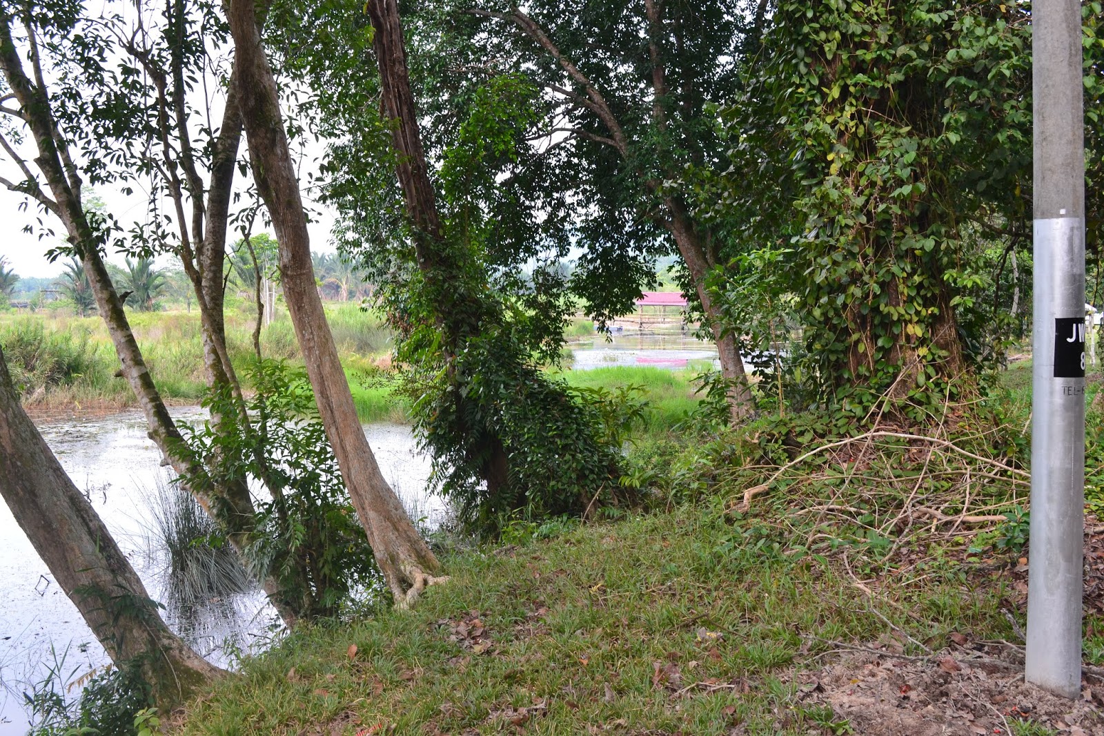 Tun Mamat dari Melaka ke Bukit Inas, Seri Medan