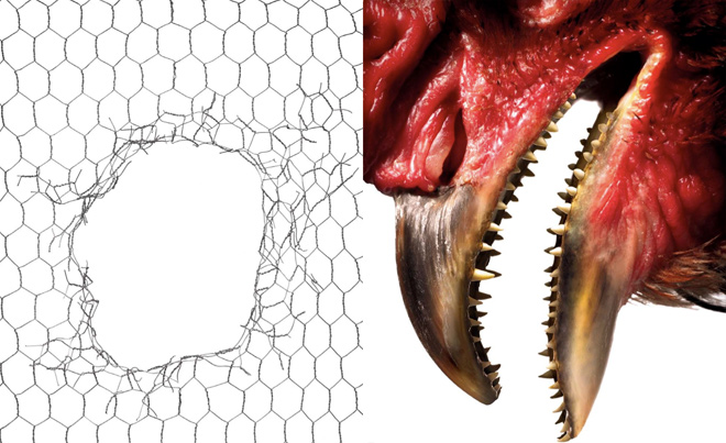 MharkoSharke: Talpid 2