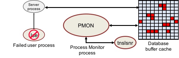 Database Info.: PMON