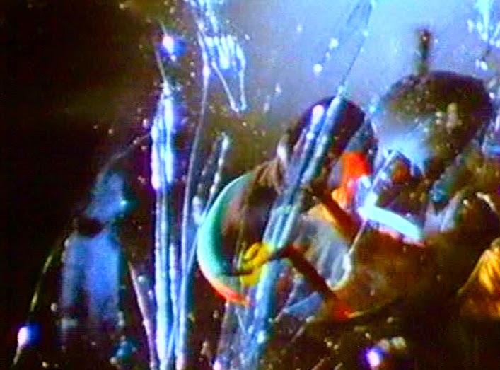 13: FUGITIVE ALIEN / Sandy Frank Enterprises - 1987