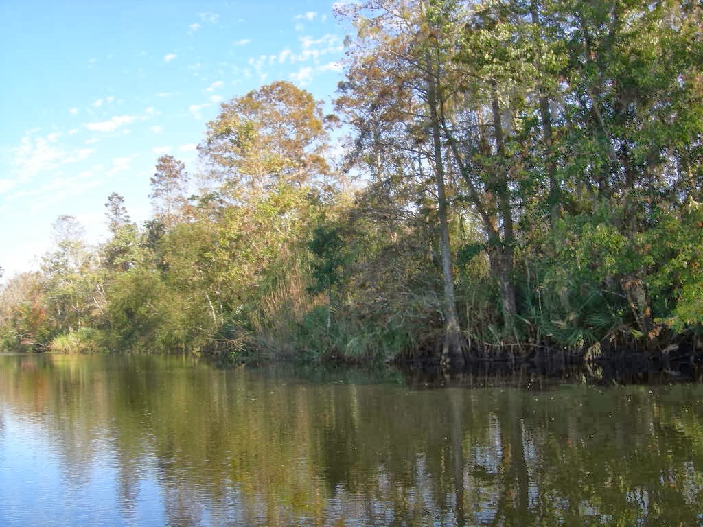 Our Great Loop Adventure: End of the Tombigbee River