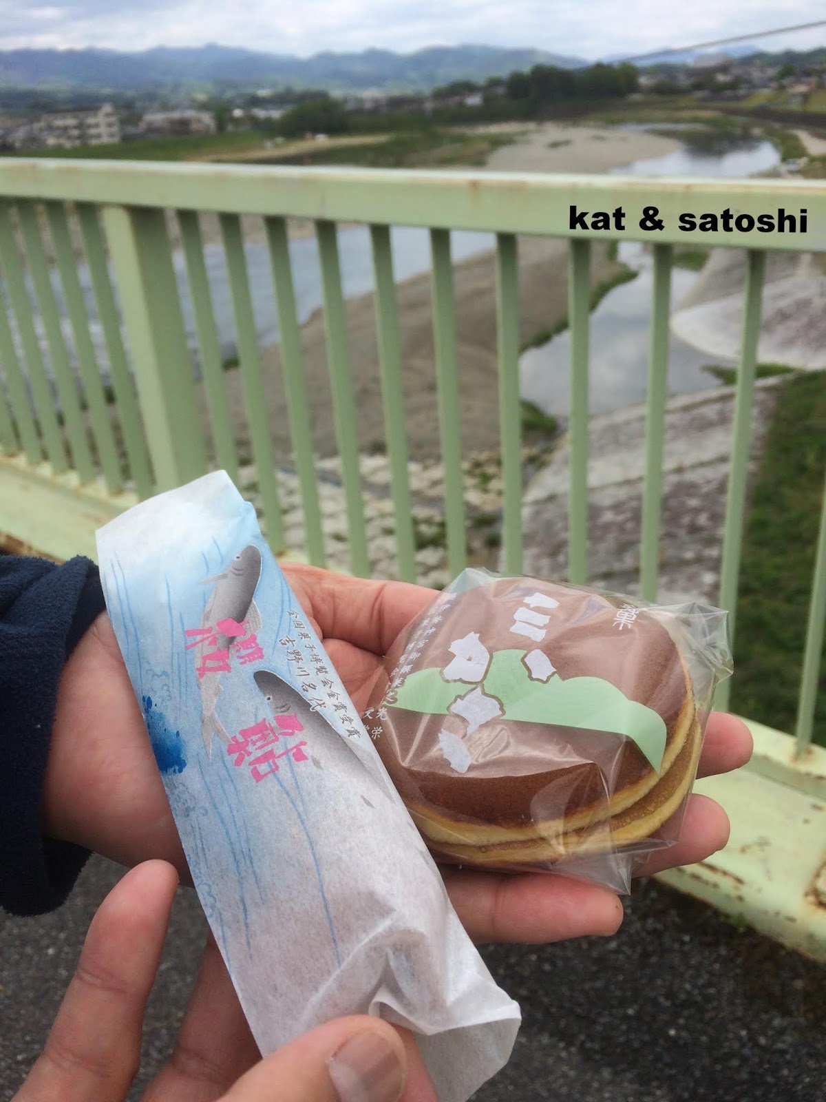 Our Adventures in Japan: osaka-gojo