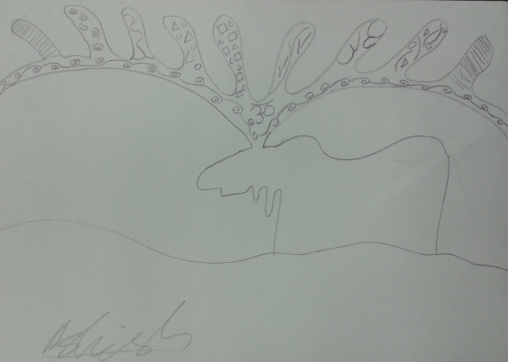 AIS Visual Arts: Grade 6