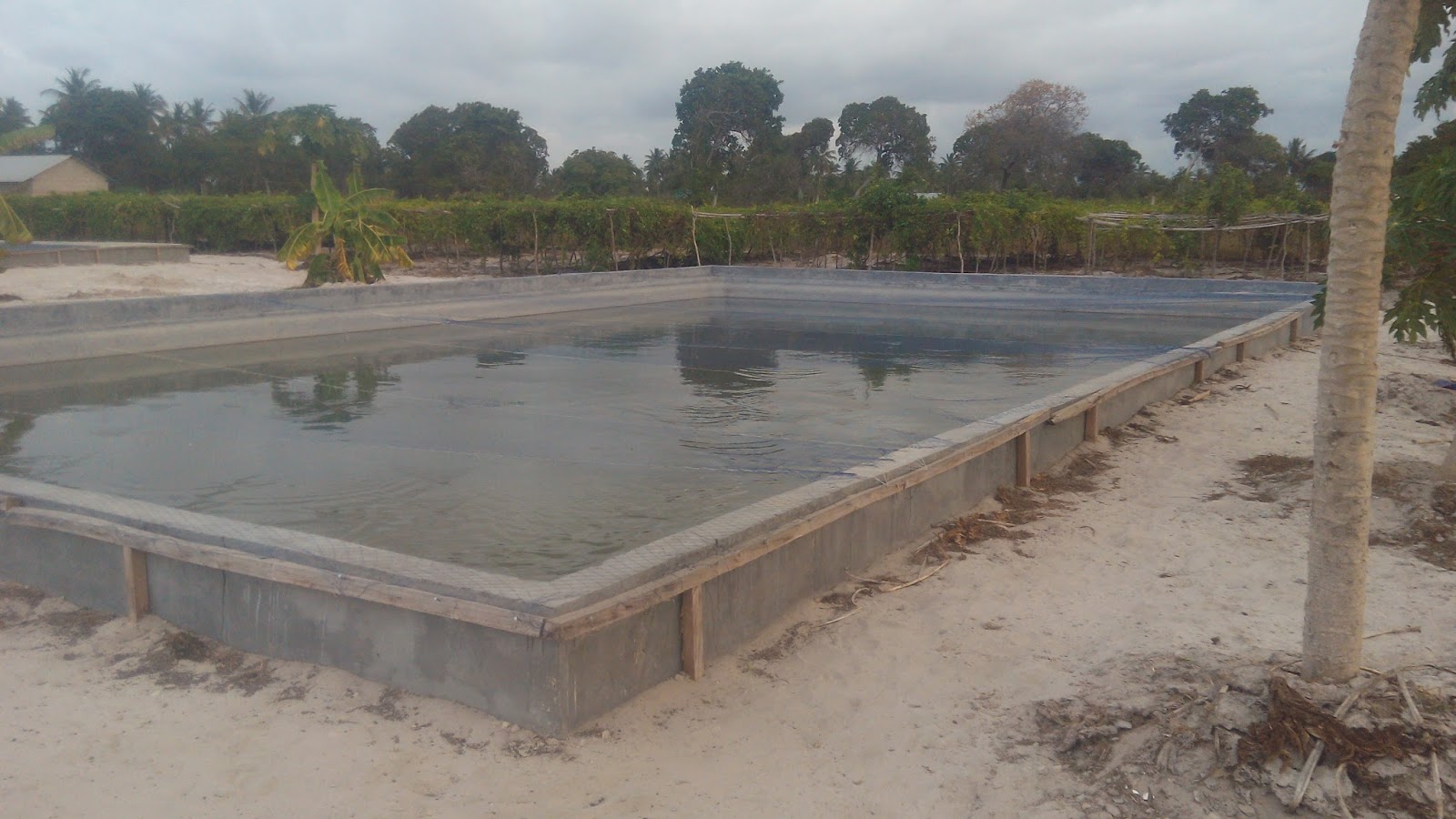 A.A.S TANZANIA : AINA ZA MABWAWA YA KUFUGIA SAMAKI