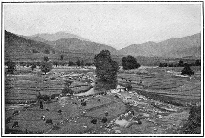 A PERFECT BLOG ABOUT SHINKIARI: Pictures Gallery