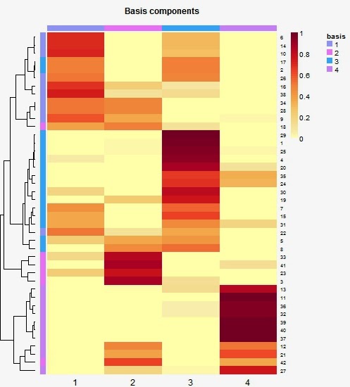 How Much Can We Learn from Top Rankings using Nonnegative Matrix ...