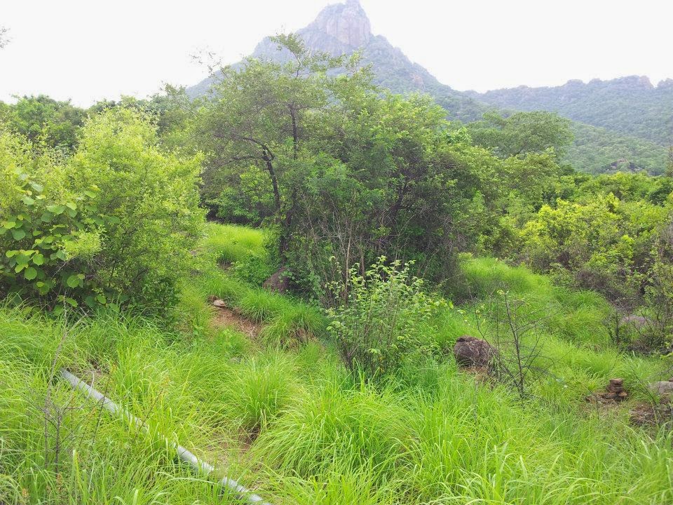 parvathamalai-greatest-moutain temple-ever visited -tiruvannamalai