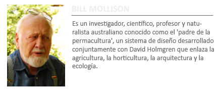 Servicios Índigo: Introducción a la Permacultura (Bill Mollison & David ...