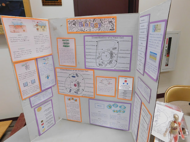 Attending Our Science Fair