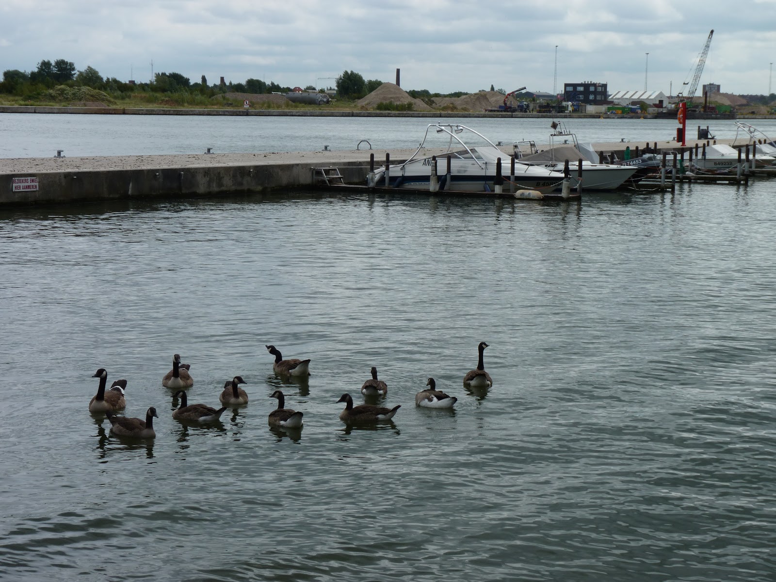 Wandeltoertjes: En nu naar Ruisbroek in Vlaams-Brabant