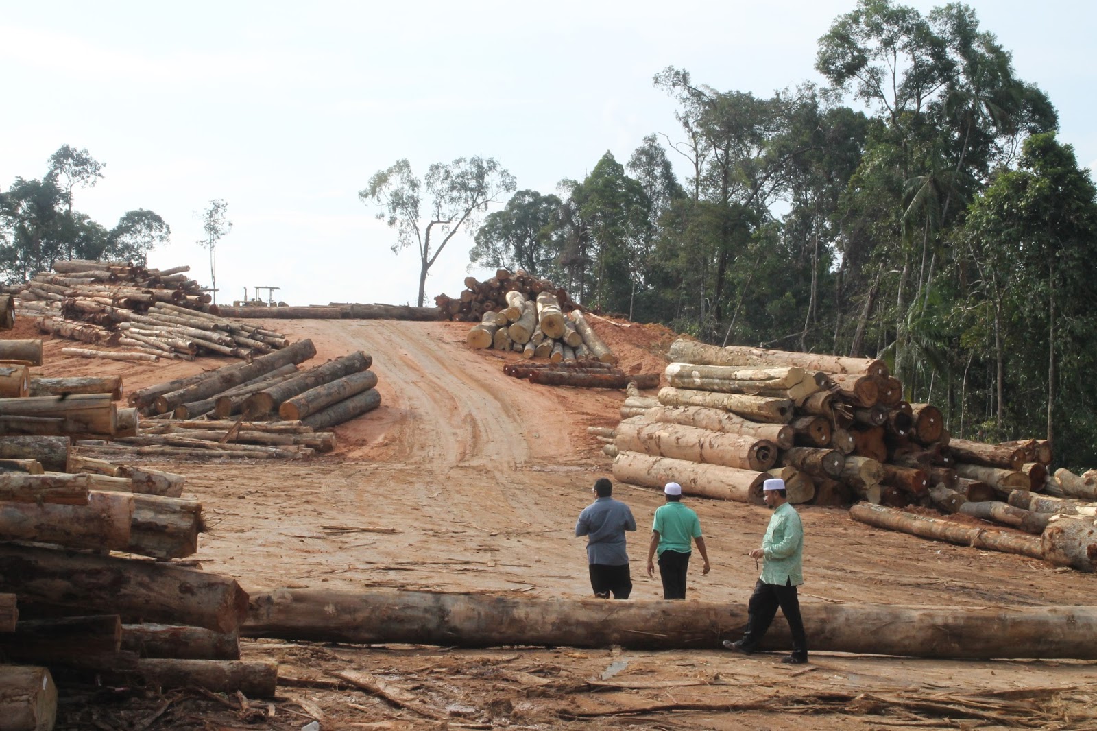 Pahang Selamat, Rakyat Nikmat: Hutan simpan talian hayat kerajaan Pahang