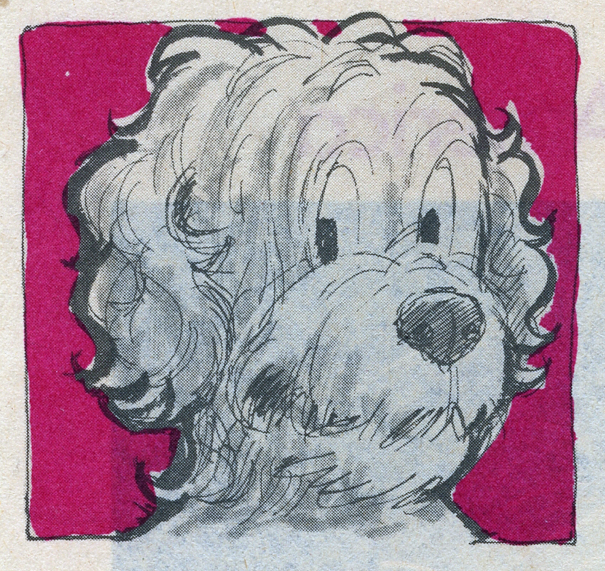 Neato Coolville: ZIP THE DOG FROM MY WEEKLY READER SURPRISE