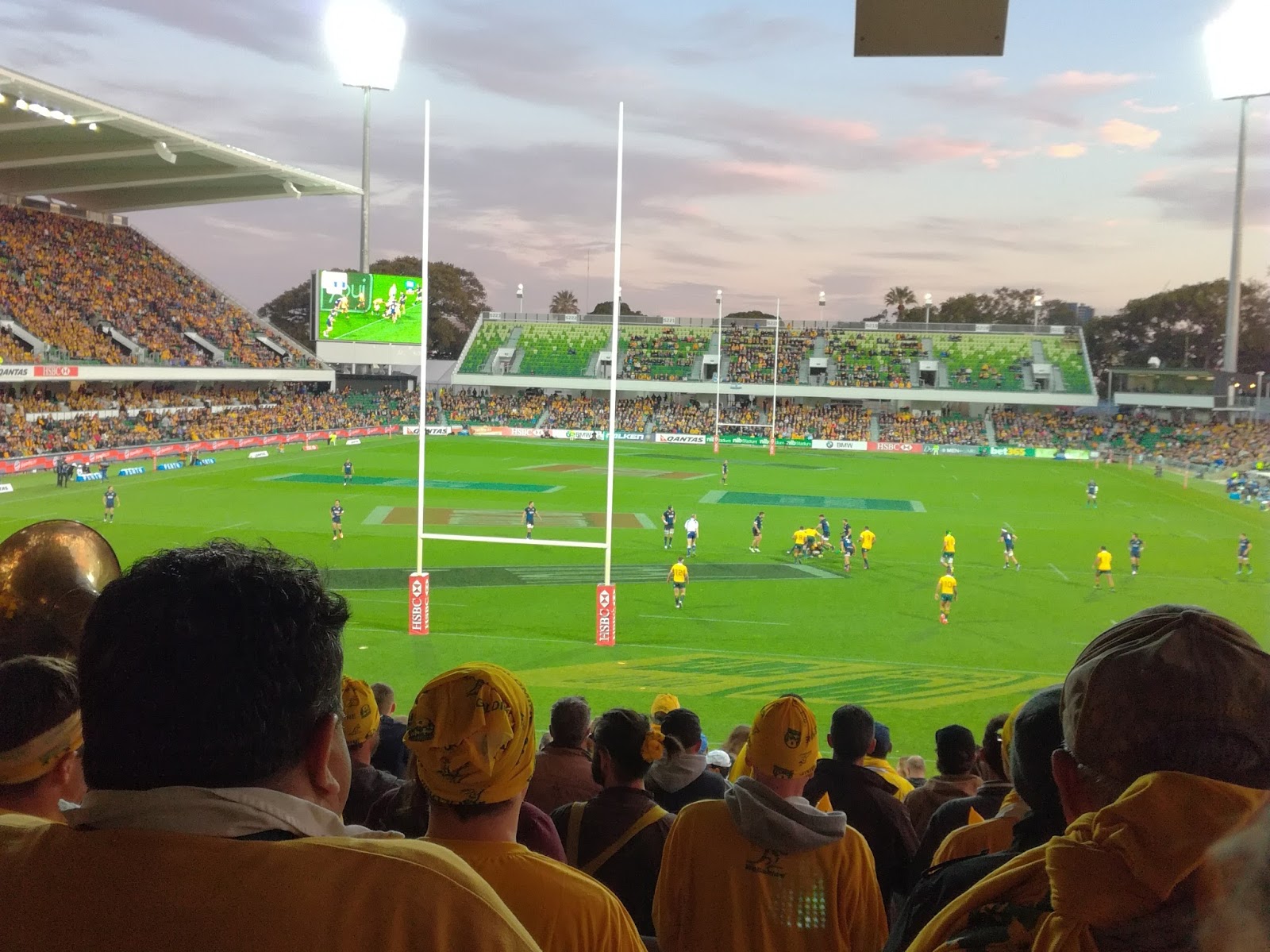 feet in the water: Go Wallabies