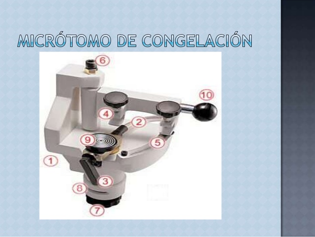 Abriéndonos al mundo del microtomo: Evolución en el tiempo