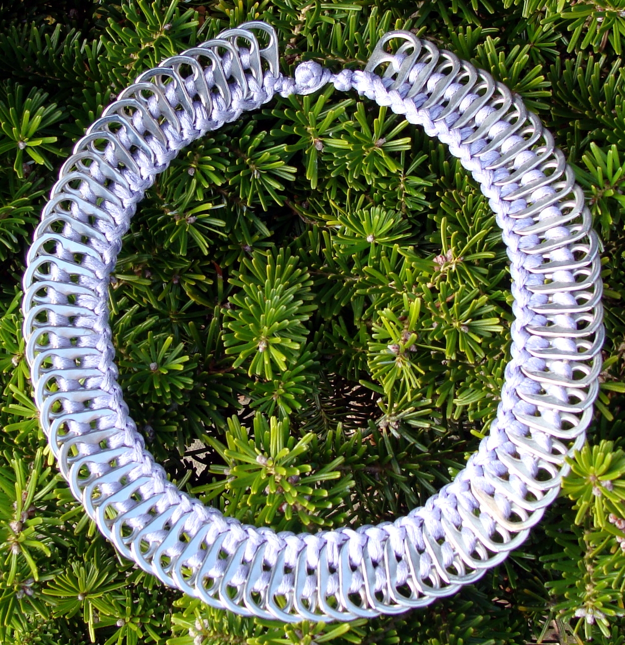 Monster Can Ring Pull at Loretta Burroughs blog