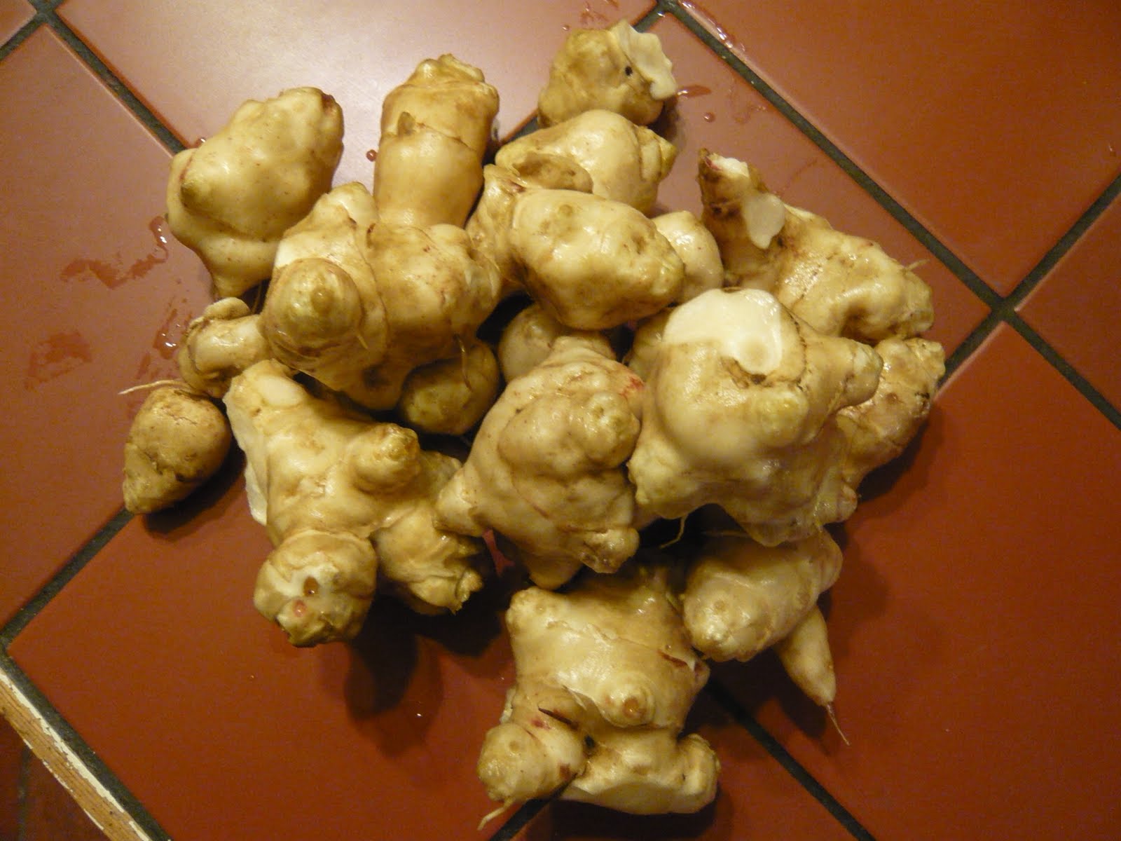 La bonne bouffe: Winter Roots - Oca, Salsify, Jerusalem Artichoke