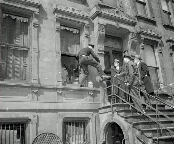 The Bell Curve of Life: The Fascinating Story of Collyer's Mansion