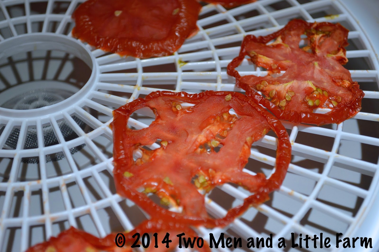 Two Men and a Little Farm: DRYING TOMATOES IN THE DEHYDRATOR