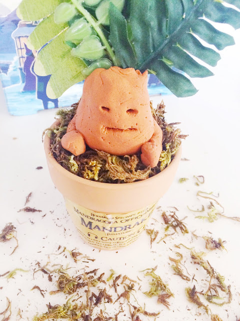 DIY Mini Potted Mandrake | Worthington Ave