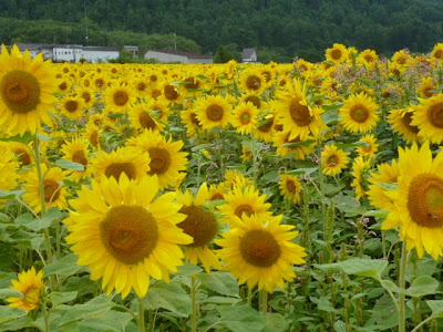 What Wonderful Travels in Hokkaido, JAPAN!: Mingei Goten （民芸御殿 ...